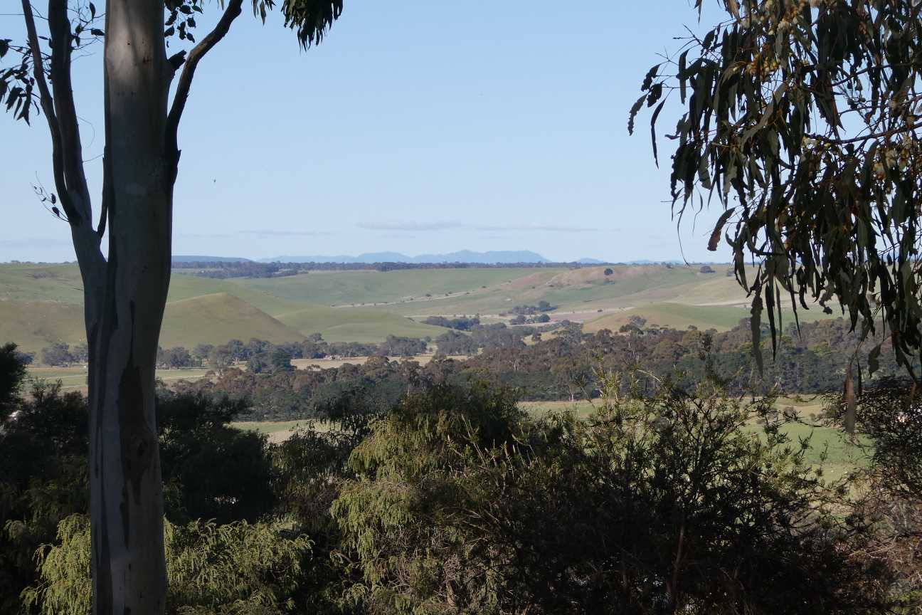 A Gallery of Coleraine Photos